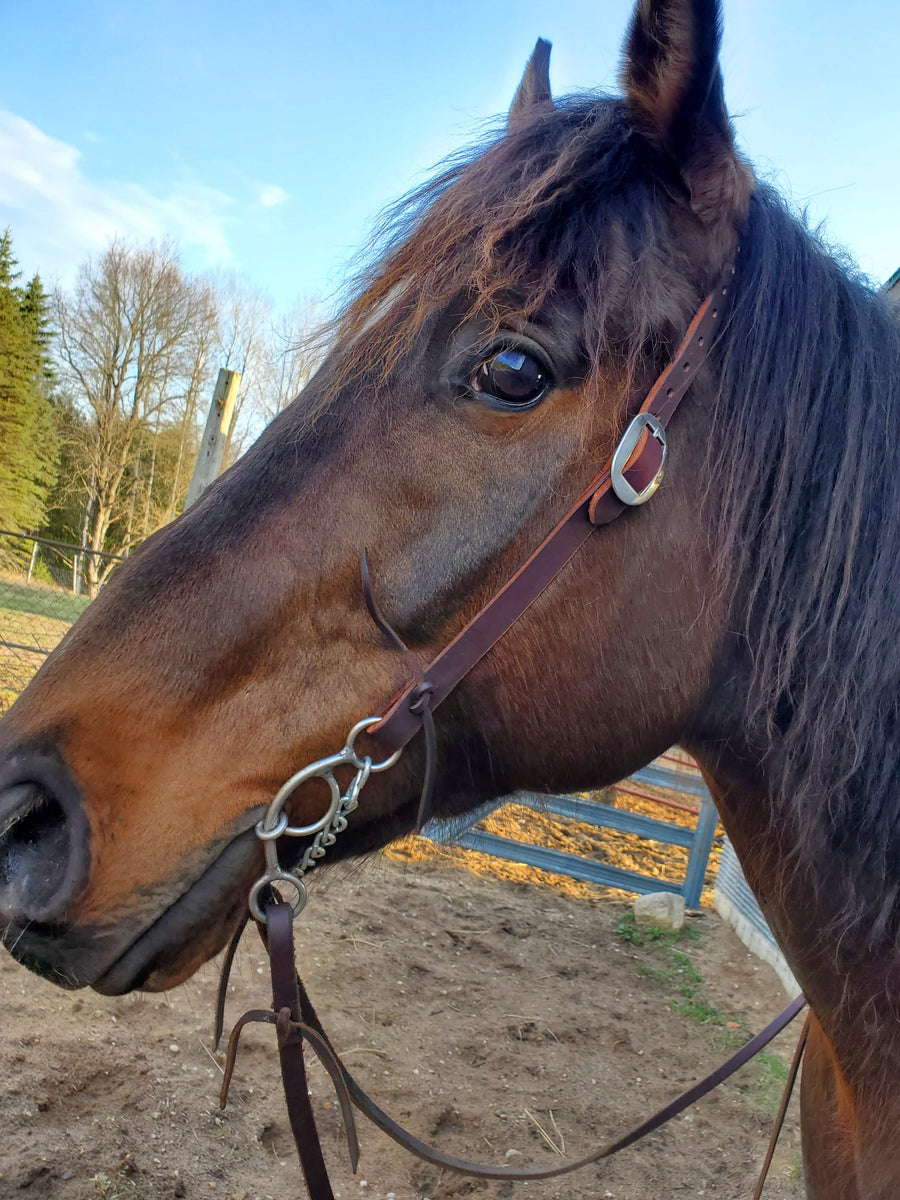 The Work Tack Line – TTT-Custom-Leather-