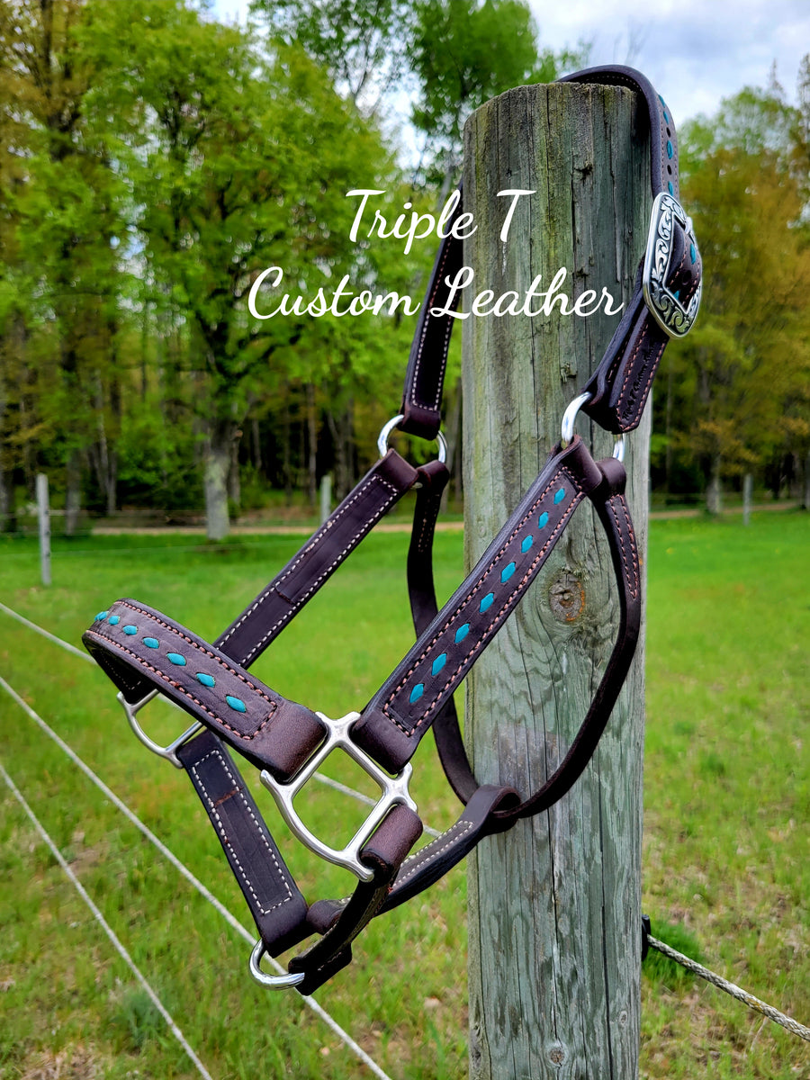 Custom Leather Halter – TTT-Custom-Leather-